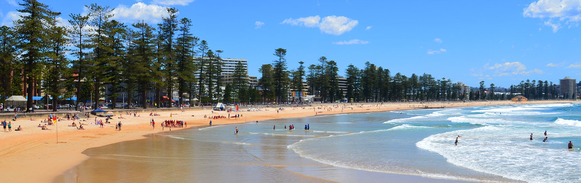 Northern Beaches - ASNU